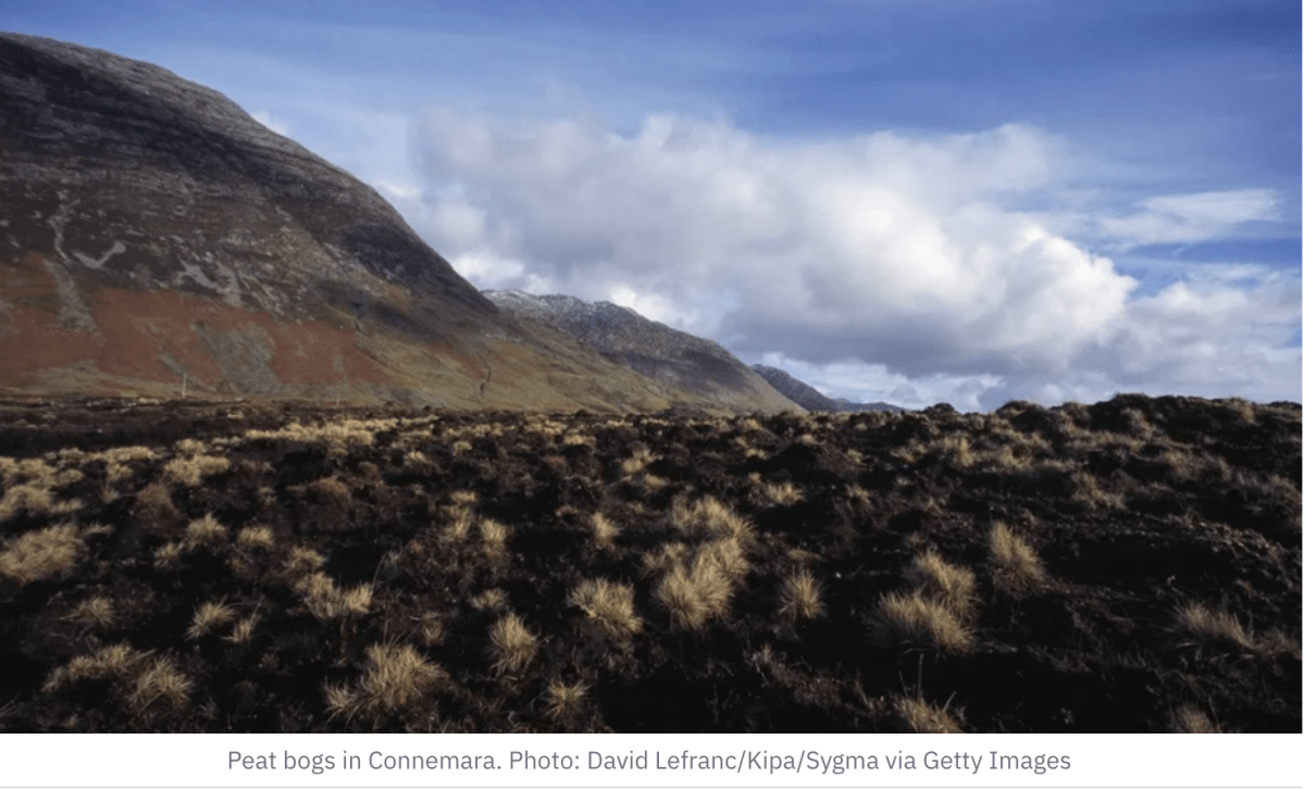 How to read the climate history of a bog